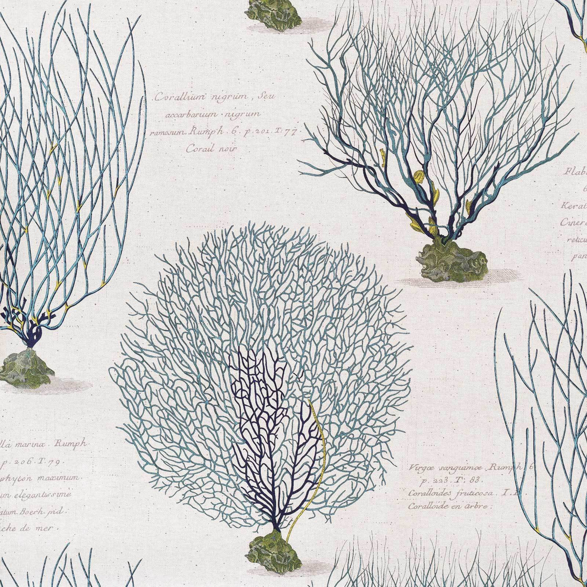 Blue sea fan wallpaper ocean coral – Swanky Babs