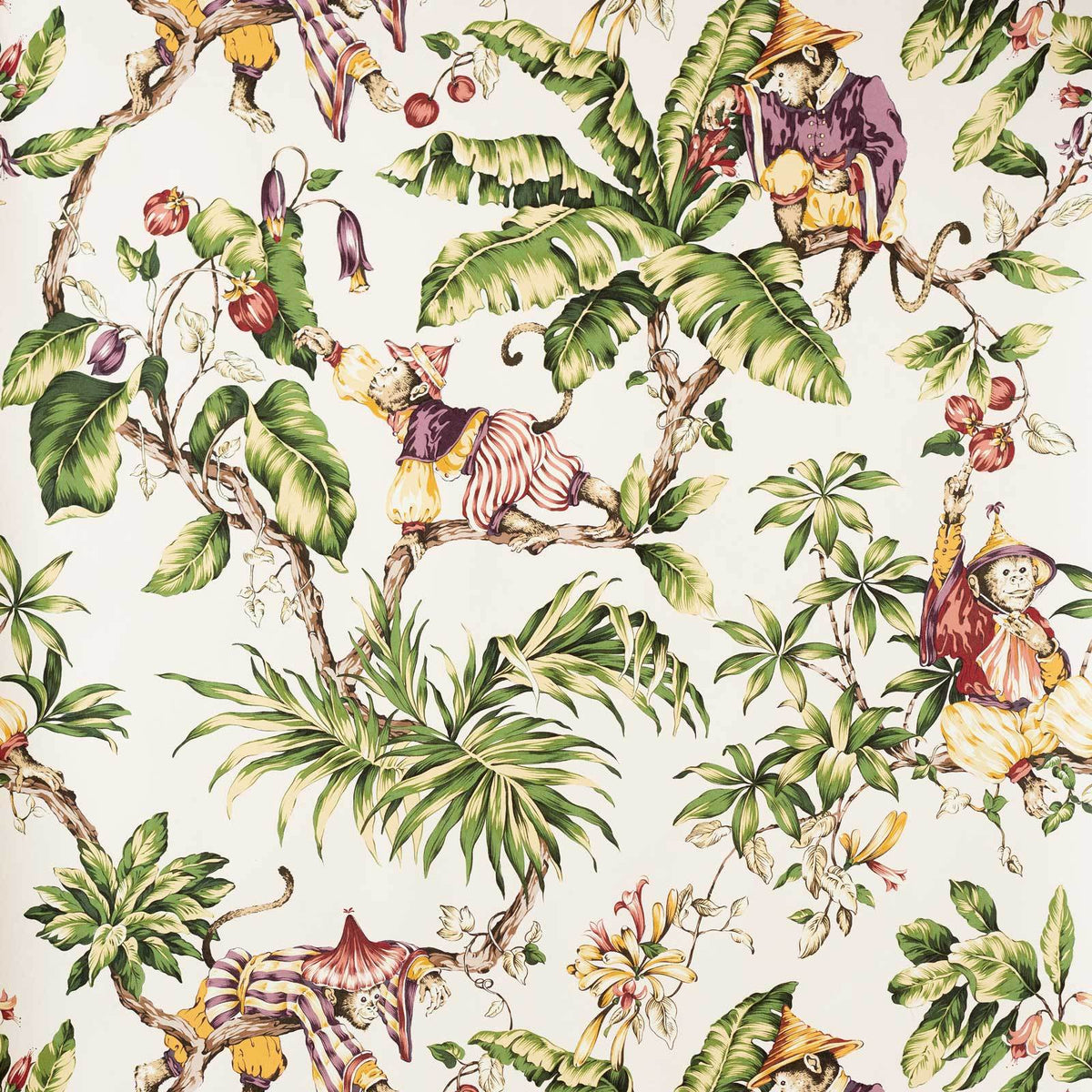 Monkey Wallpaper tropical jungle – Swanky Babs